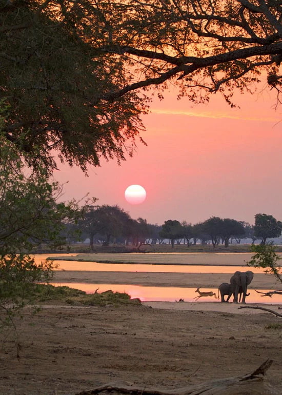 Home | ZW Essential Air Service